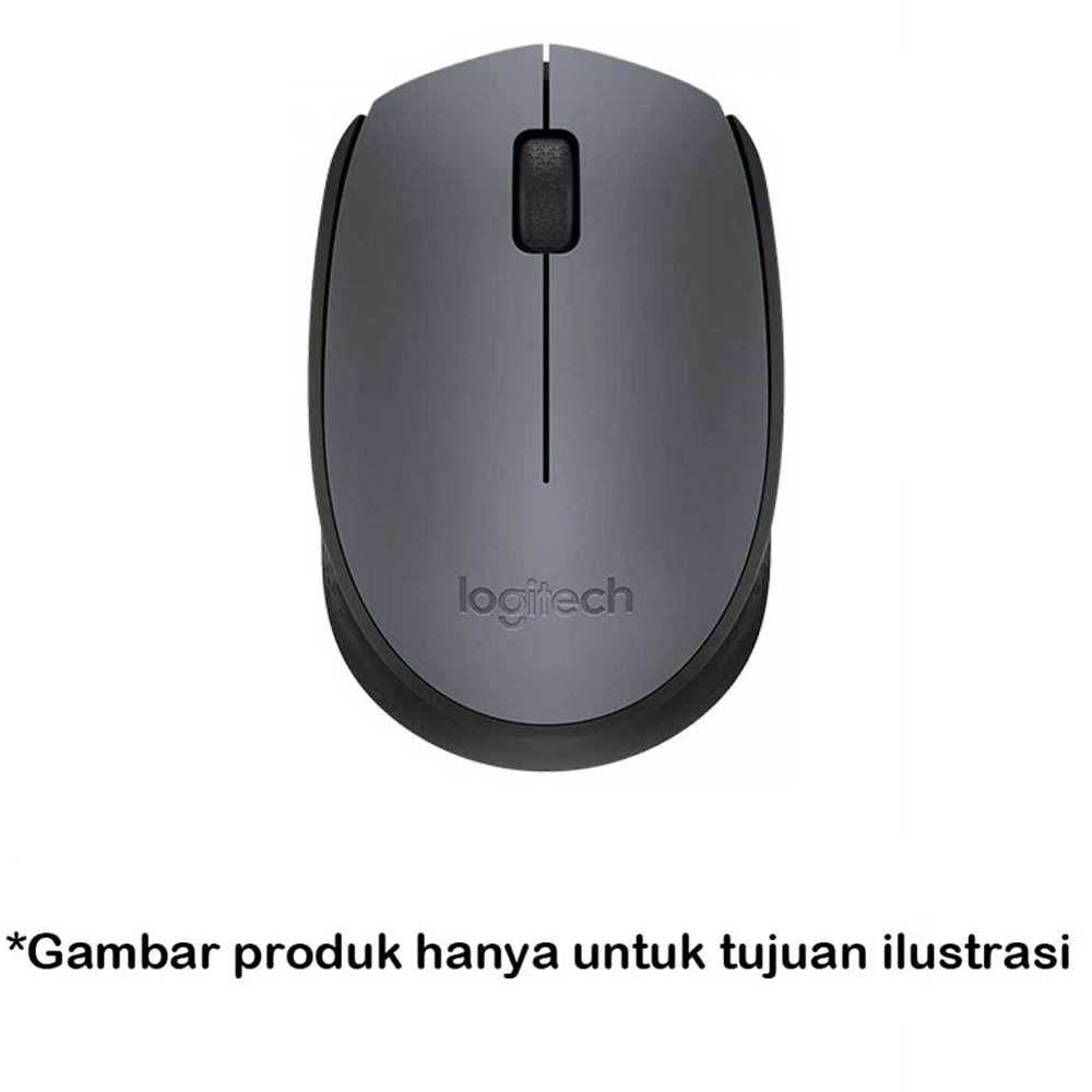 LOGITECH - WIRELESS MOUSE M171